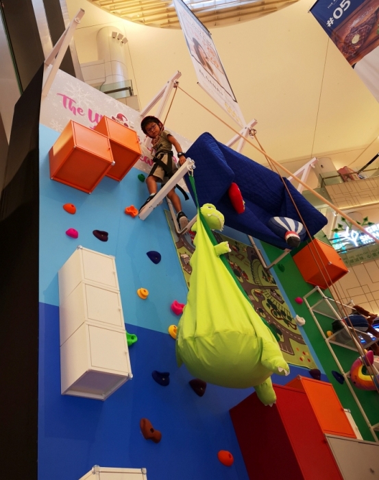Largest Climbing Wall With Furniture Fixtures