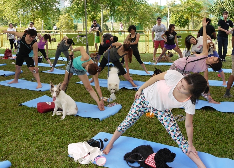 Largest Yoga Session With Dogs | Singapore Book Of Records