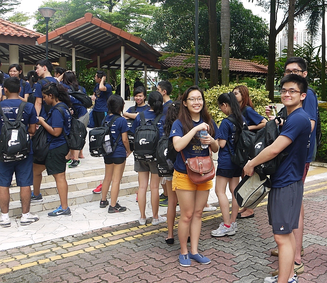 Largest Mass Walk Carrying Groceries